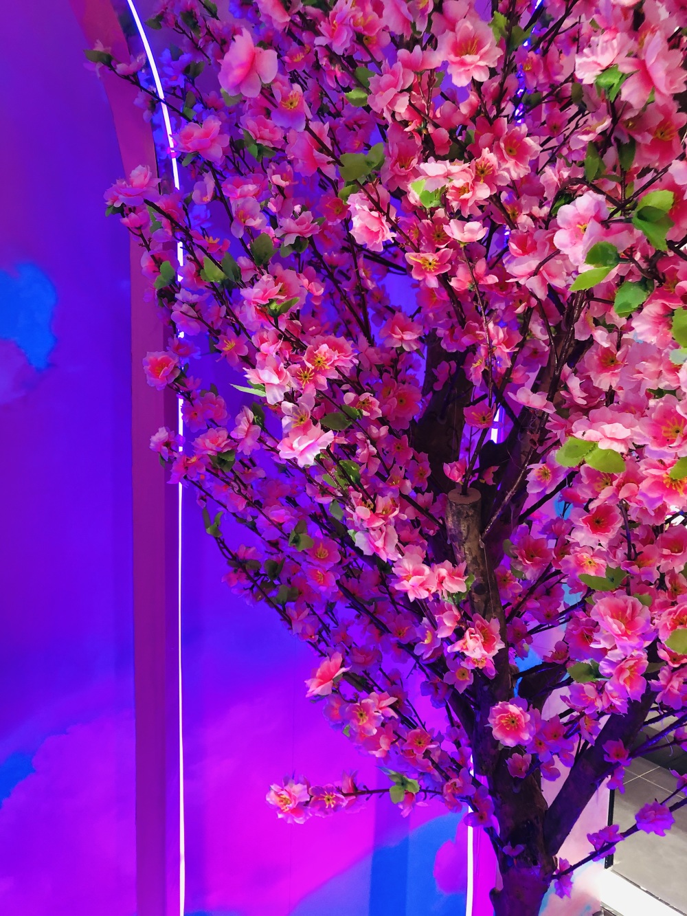 MAC Cosmetics, Campaign Installations - Nicholasongstudio