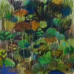 Vins 2020 - Alice Bossut