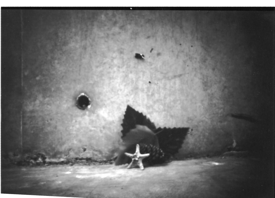 Project 3: Pinhole, Photograms, & Cyanotypes - Becca Ray