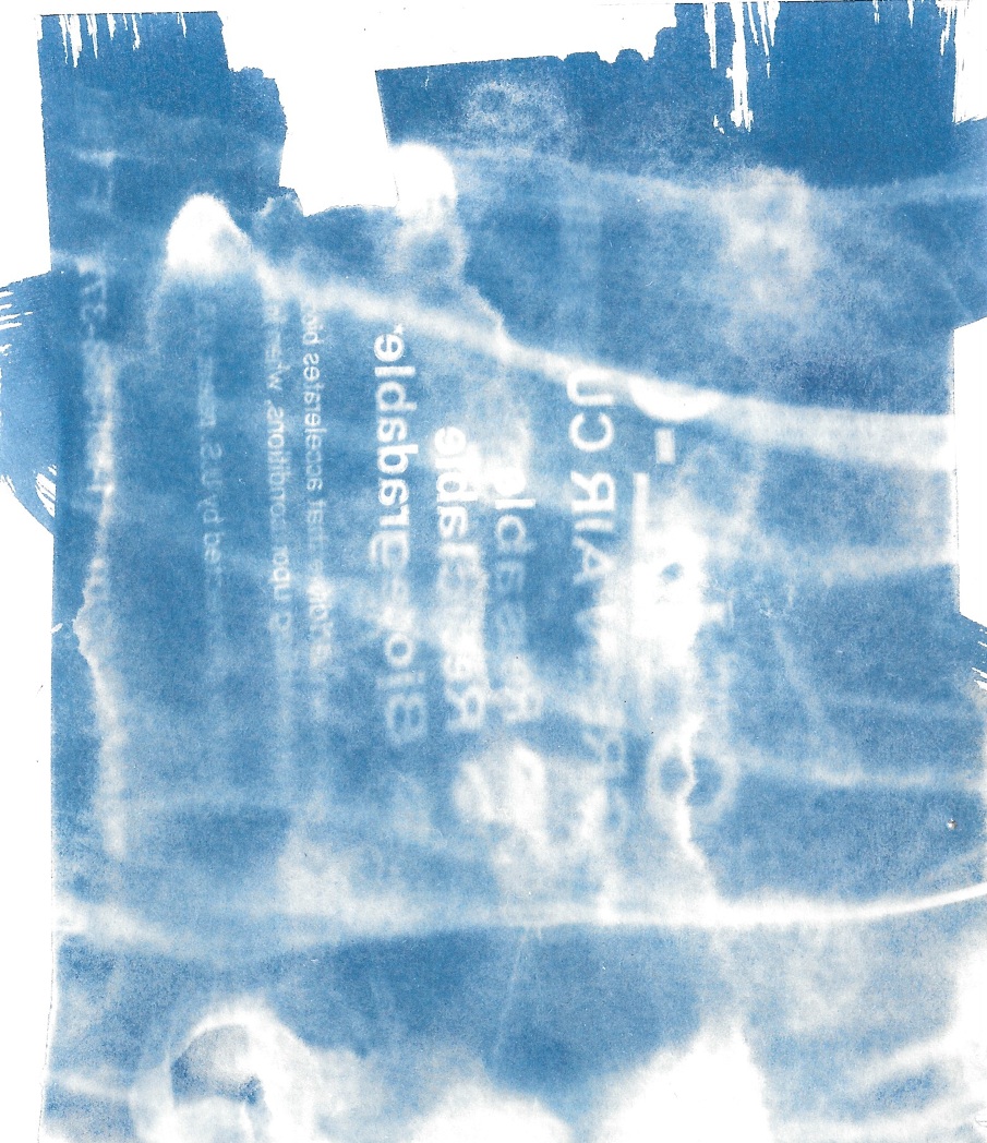Project 3: Pinhole, Photograms, & Cyanotypes - Becca Ray