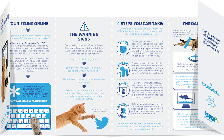 RSPCA IntegratedNed the cat - Nils Eberhardt