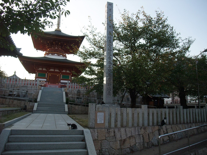 Kumeda-dera_久米田寺 - ambitect