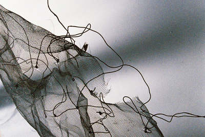 sculpture - alice odell hunt