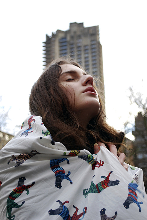 fauna - alice odell hunt