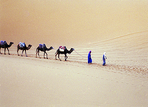 hassi labied - alice odell hunt