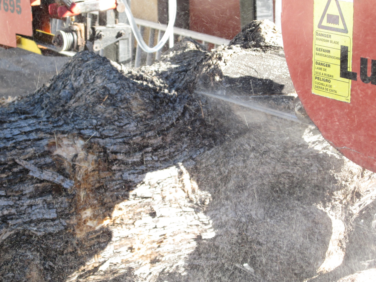 photographs - William Stranger