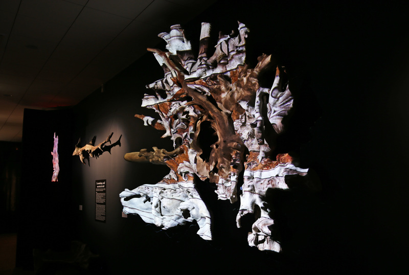 Virtualia - jeanpaulfavand.com