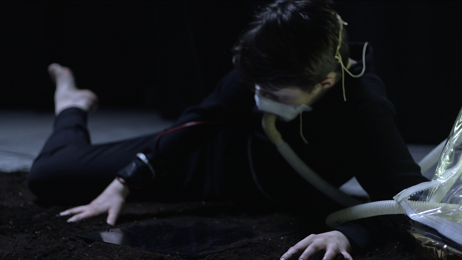 Les dauphins aussi peuvent se reconnaître dans le miroir - Chélanie