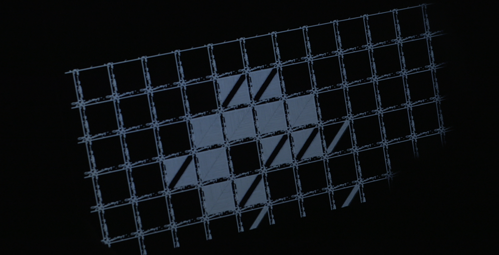 Les dauphins aussi peuvent se reconnaître dans le miroir - Chélanie