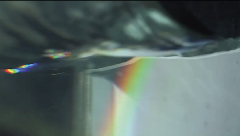 Les dauphins aussi peuvent se reconnaître dans le miroir - Chélanie