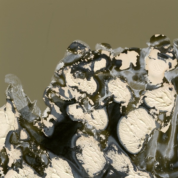 Polaroid Manipulations - Hazel Davies