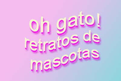 Oh Gato! - Lucha Fernández