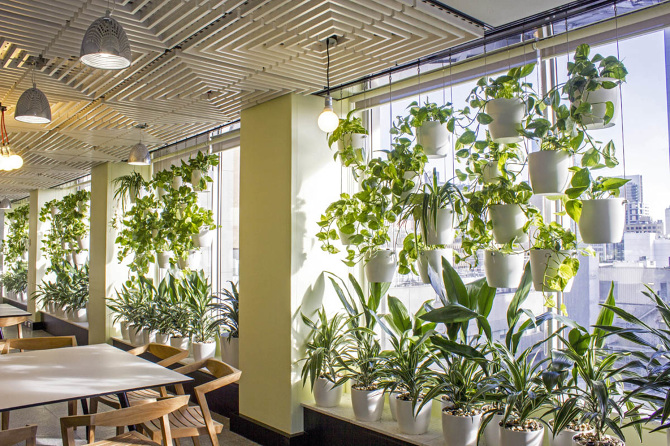 EquipSuper Fitout - antarcold