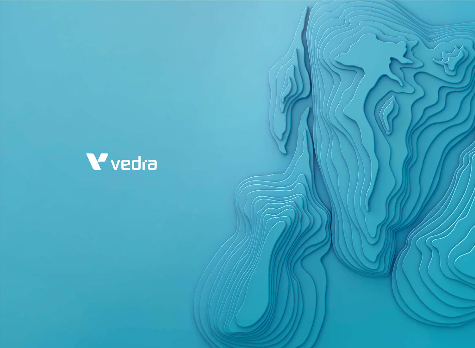 Vedra brand identity - Veronica yu