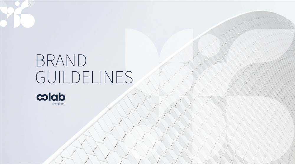 CoLab brand identity - Veronica yu