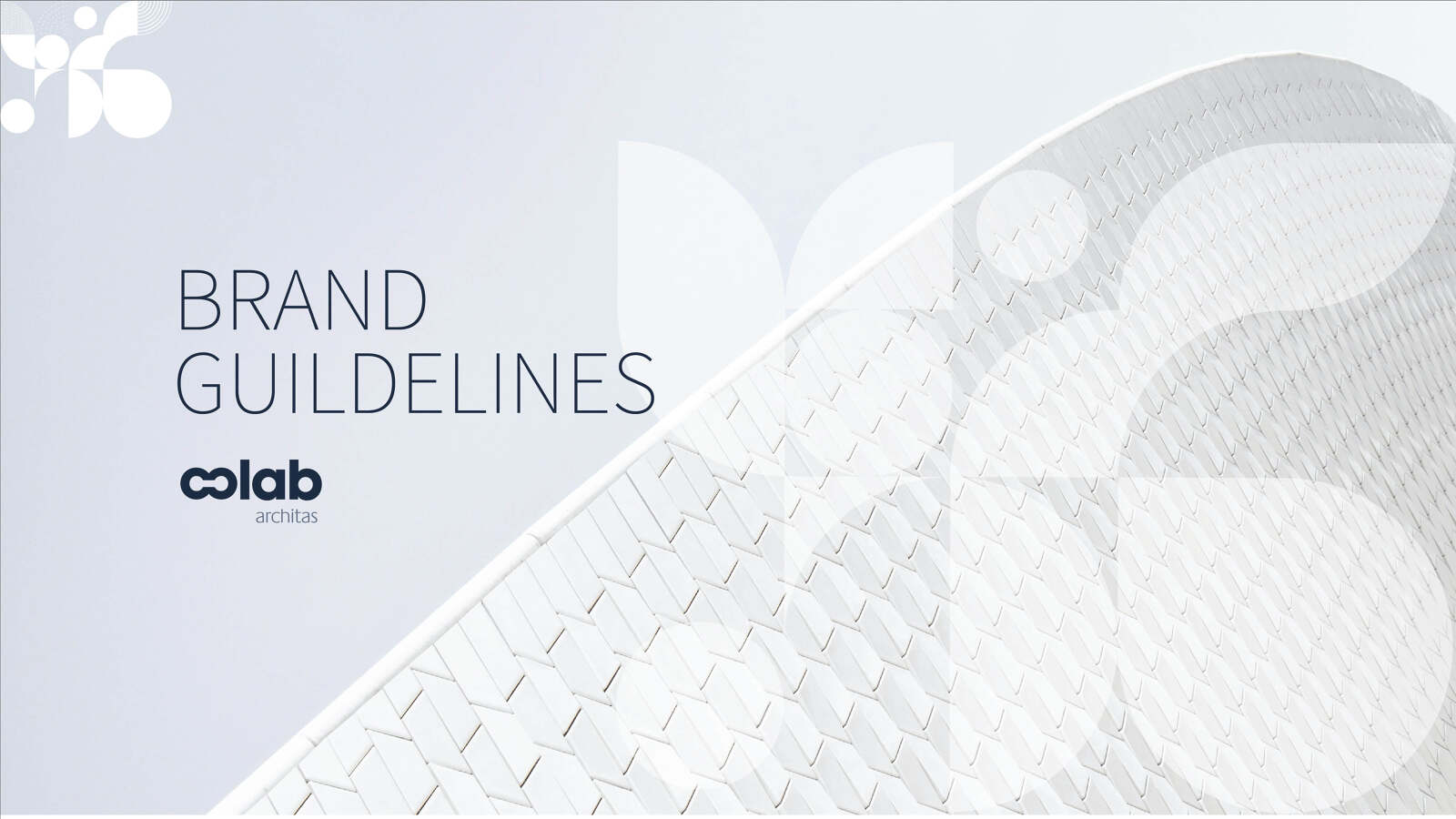 CoLab brand identity - Veronica yu