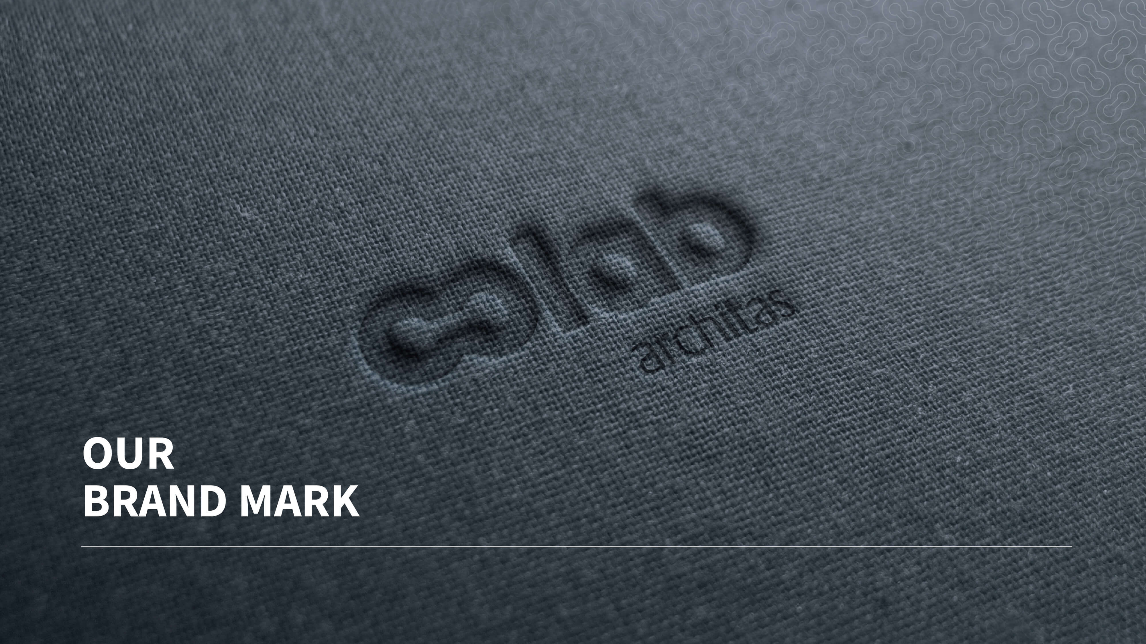 CoLab brand identity - Veronica yu