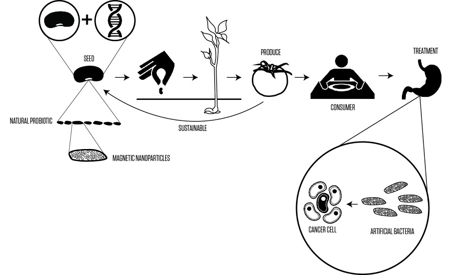 Artificial Bacteria - Future Health Systems