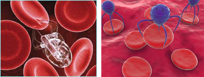 Nanobot - Future Health Systems