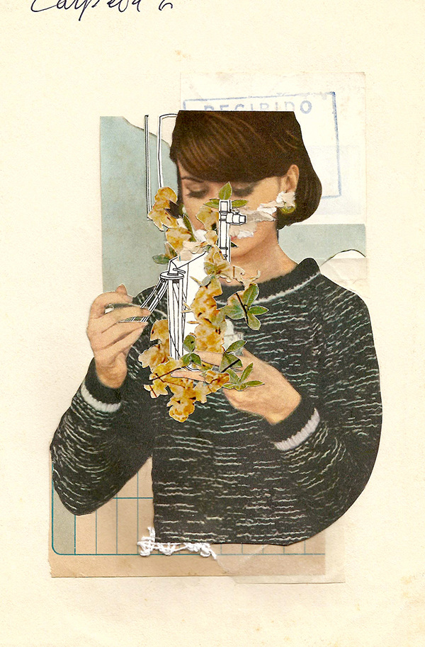 Collage - Sara Serna