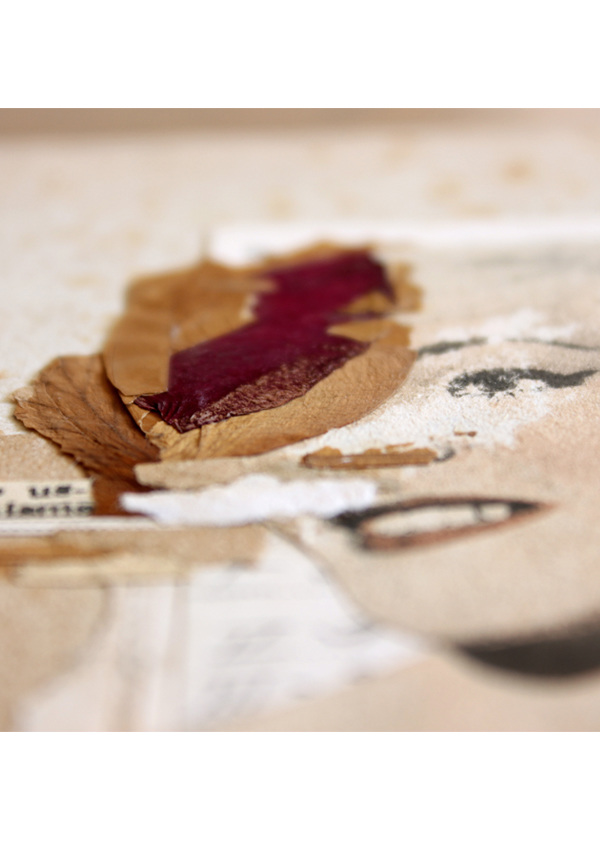 Collage - Sara Serna