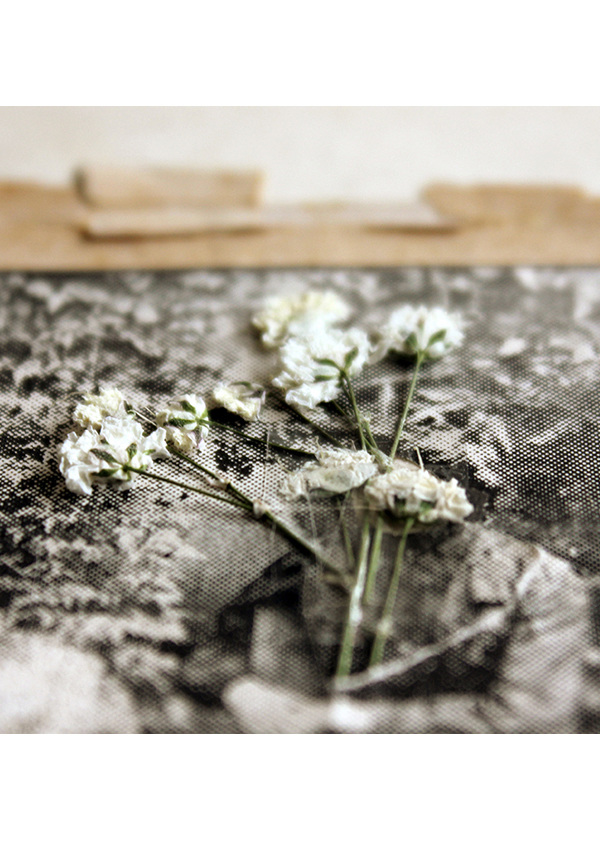 Collage - Sara Serna