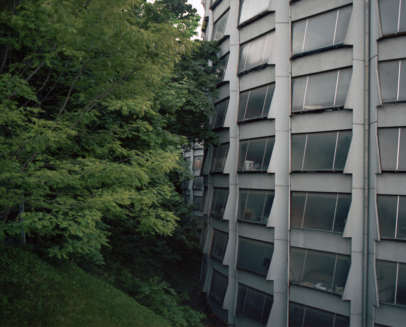 Savin's - asiana jurca avci