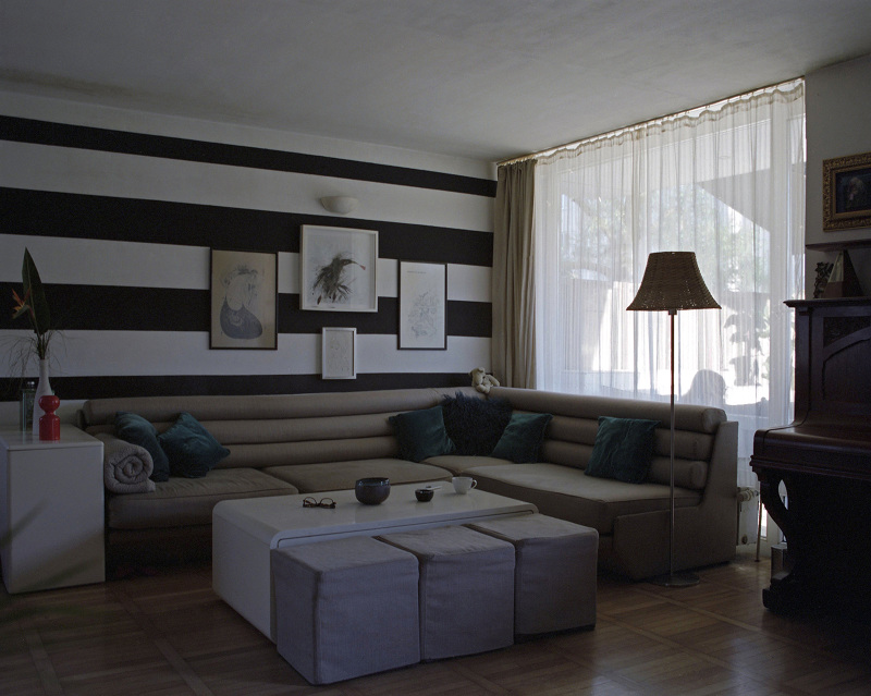 Savin's - asiana jurca avci