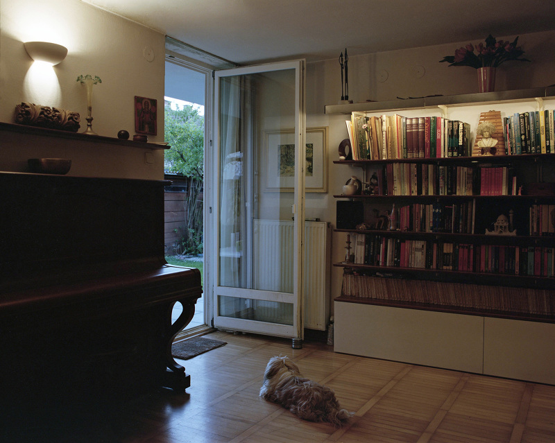 Savin's - asiana jurca avci