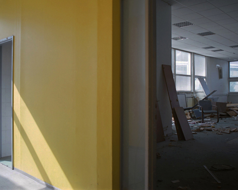 Savin's - asiana jurca avci