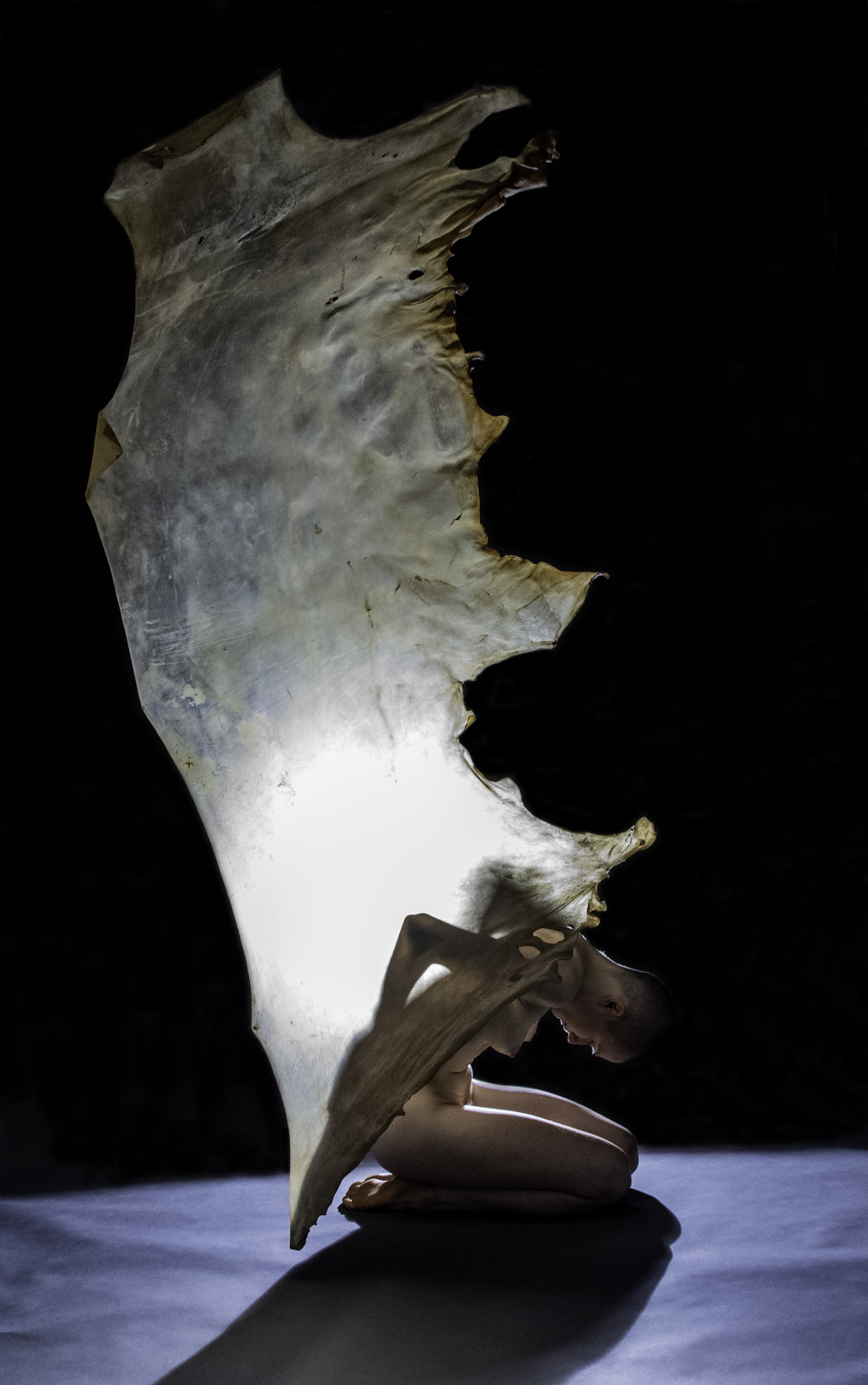 Shivering Skins - Sarah Fetterman Sculpture