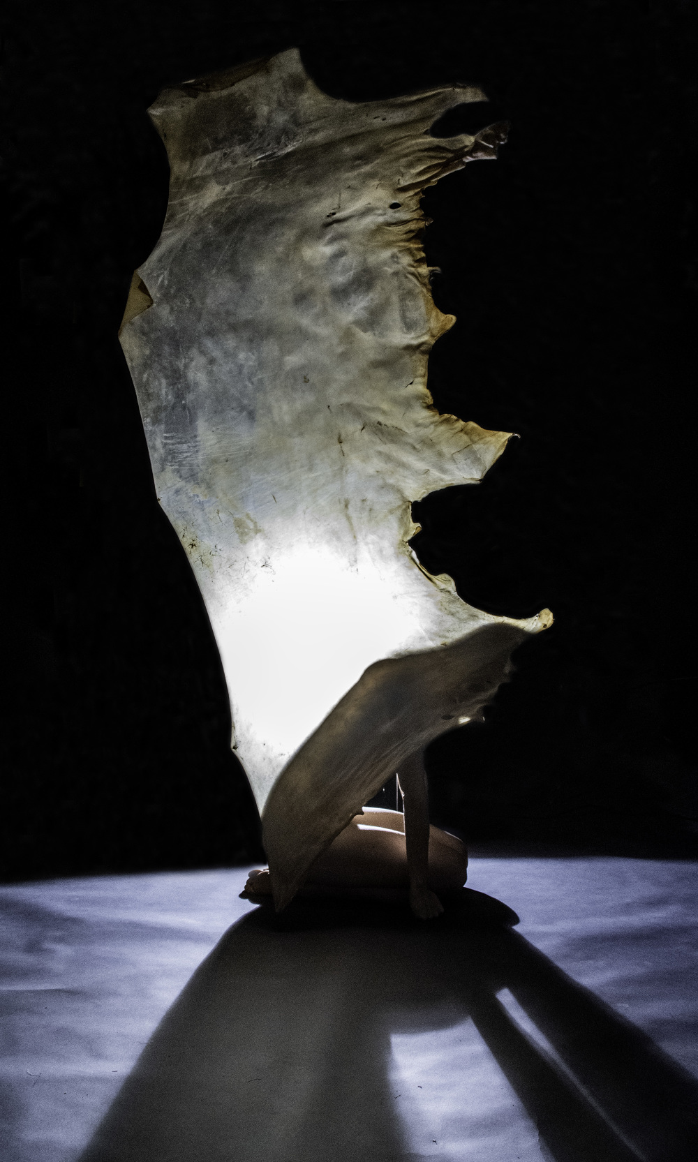 Shivering Skins - Sarah Fetterman Sculpture