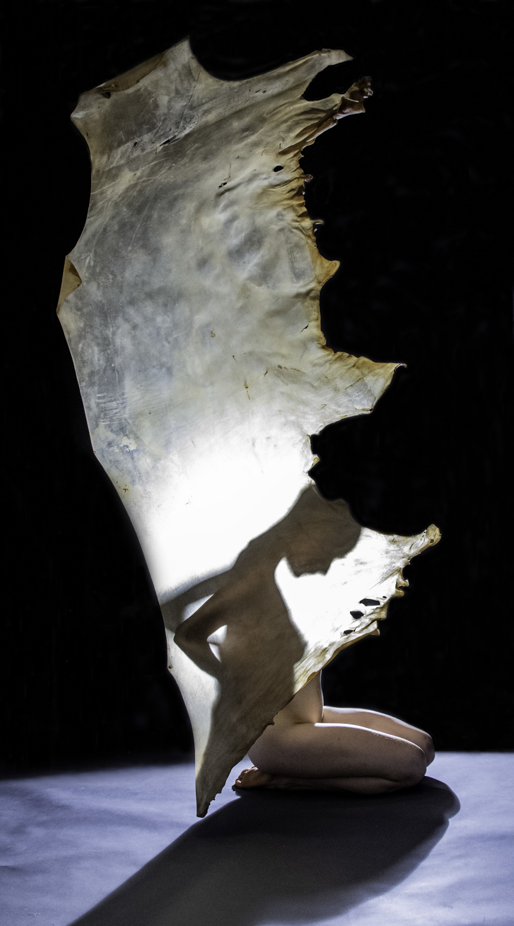 Shivering Skins - Sarah Fetterman Sculpture