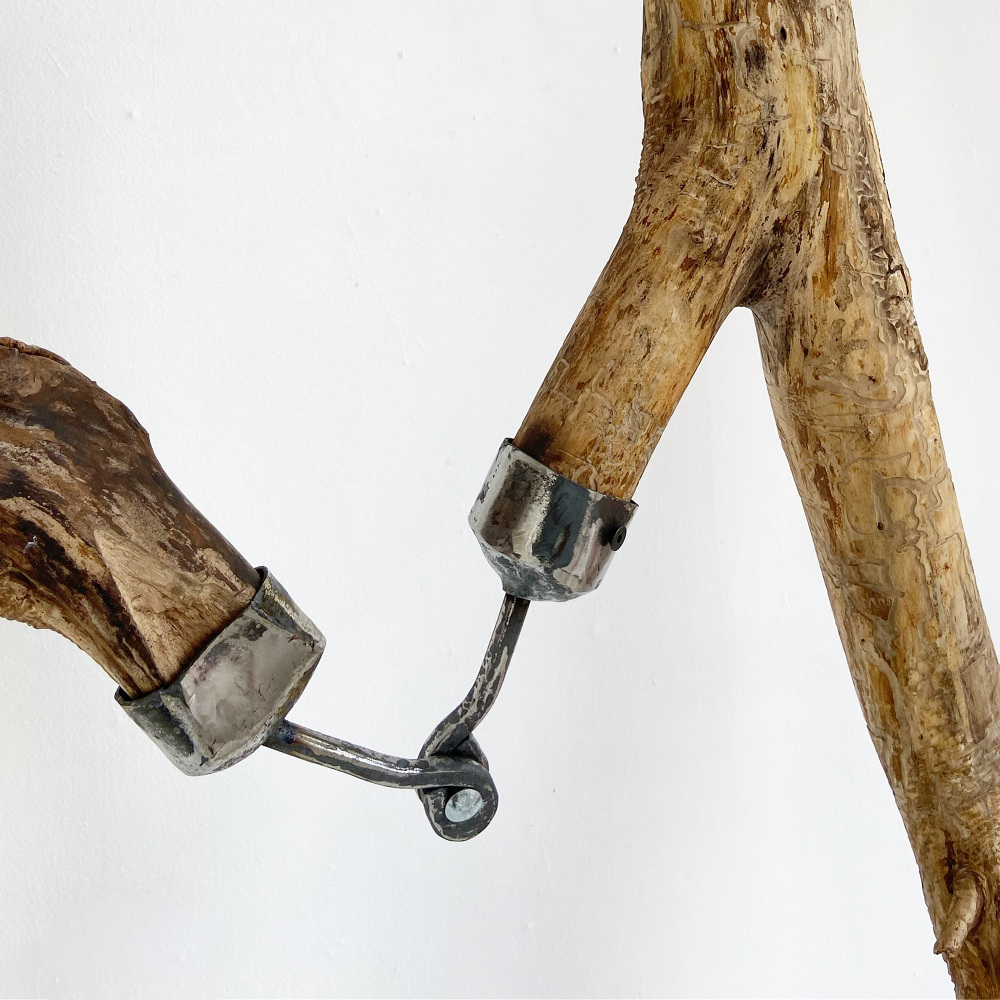 Limbs - Sarah Fetterman Sculpture