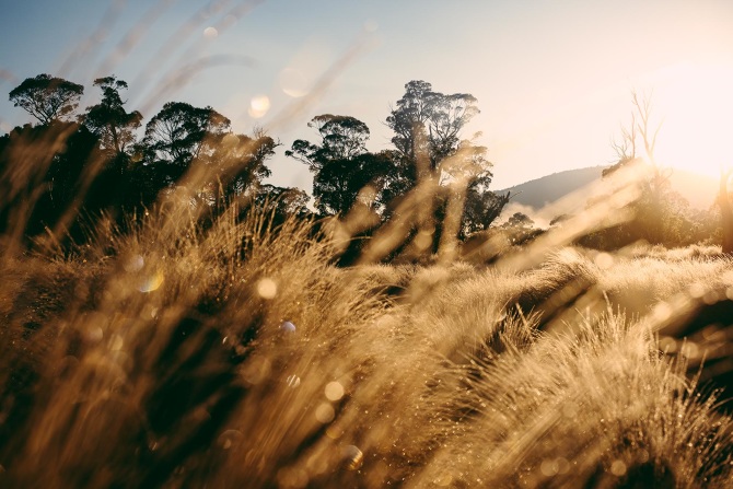 AUSTRALIAN ALPS - brandon rooney