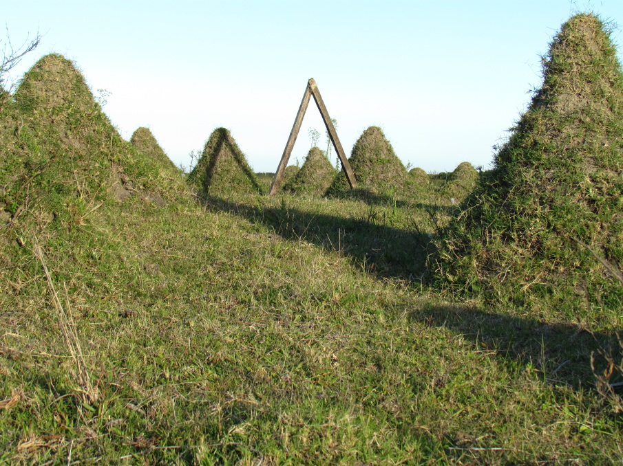 EXODO URBANO - MAURICIO PLOENALS