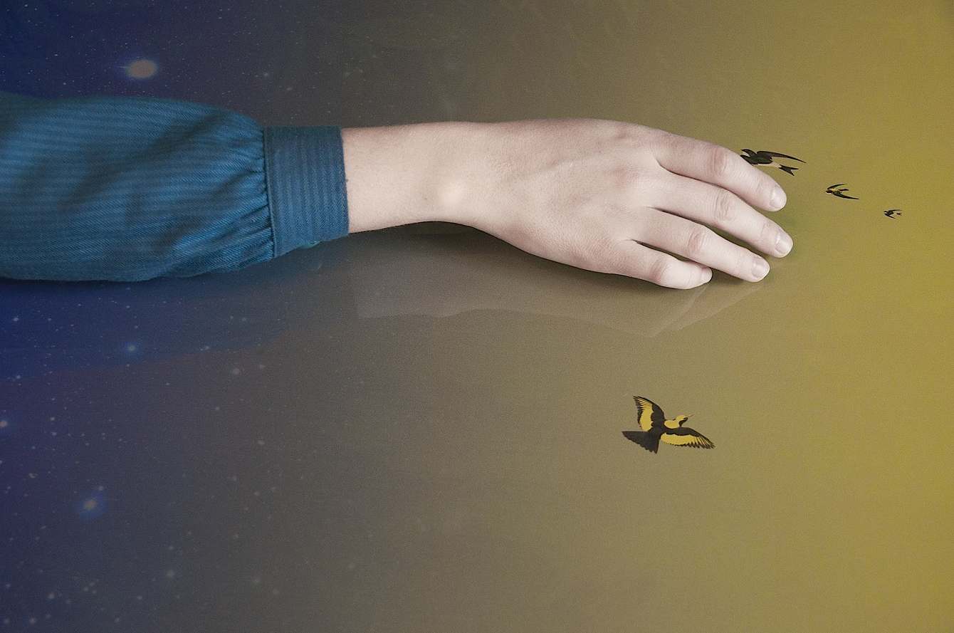This living hand - cristina coral