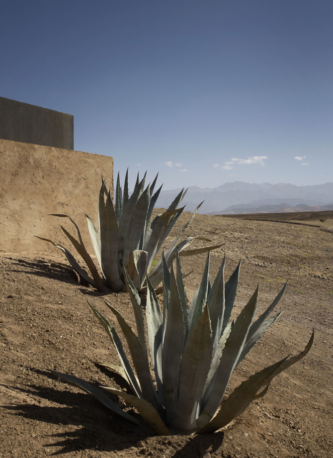 Villa K // Studio KO - from one backyard to another