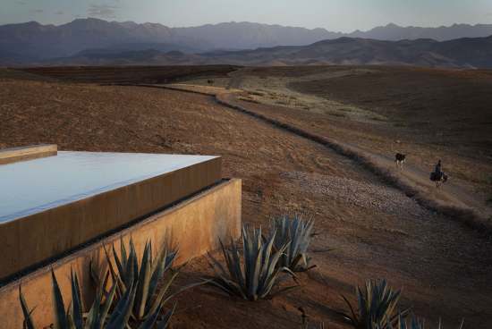 Villa K // Studio KO - from one backyard to another