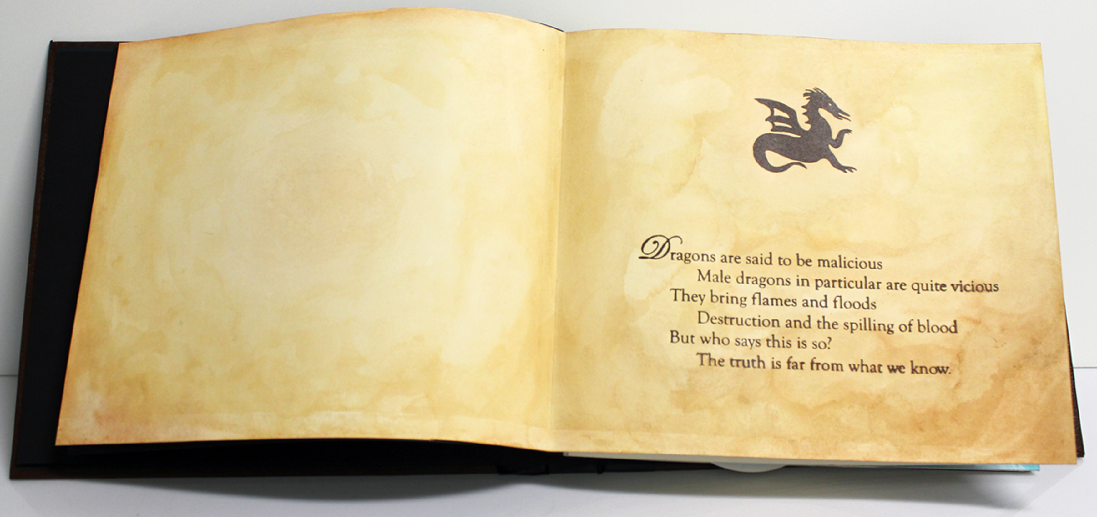 Mythconceptions - kimberly ang