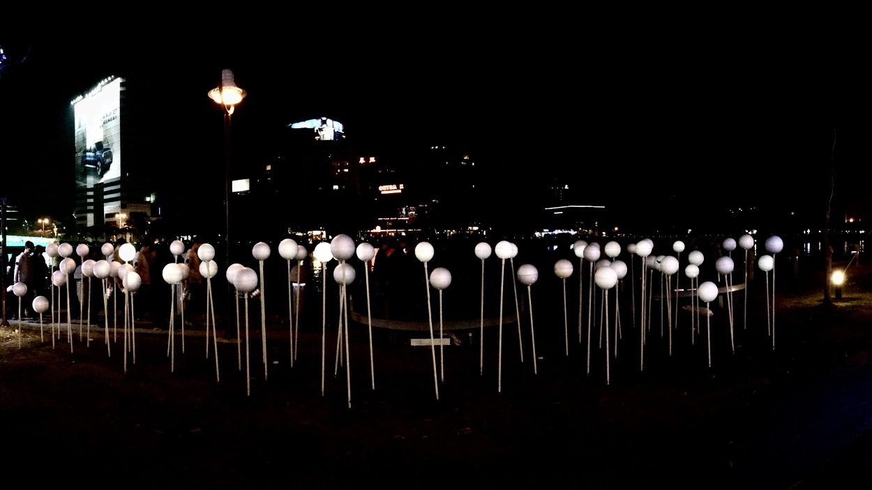 Dandelion Installation - JrFengKwan