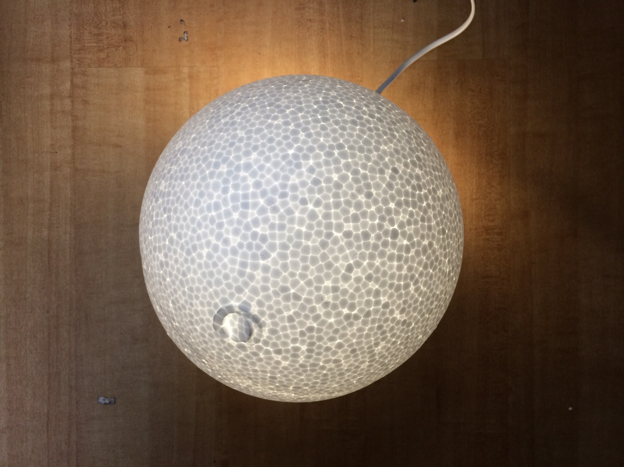 Dandelion Installation - JrFengKwan