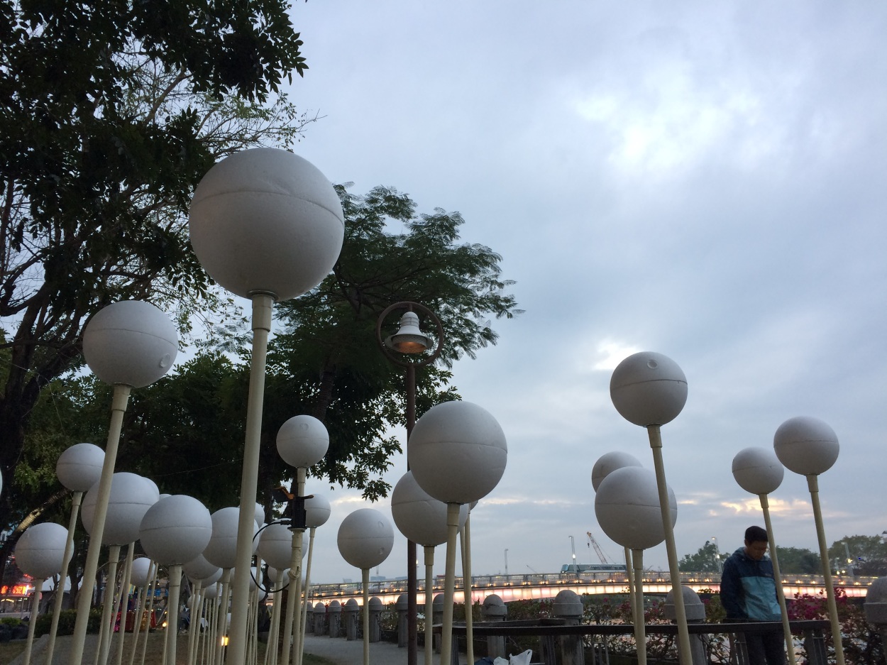 Dandelion Installation - JrFengKwan