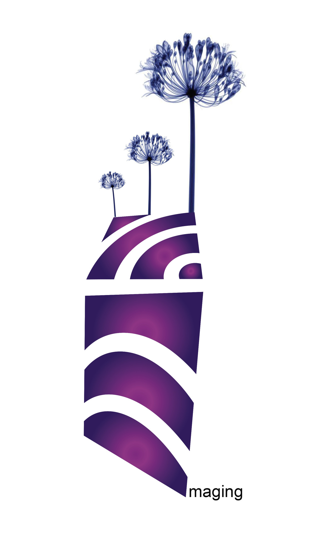 Dale Cheney Graphic Design