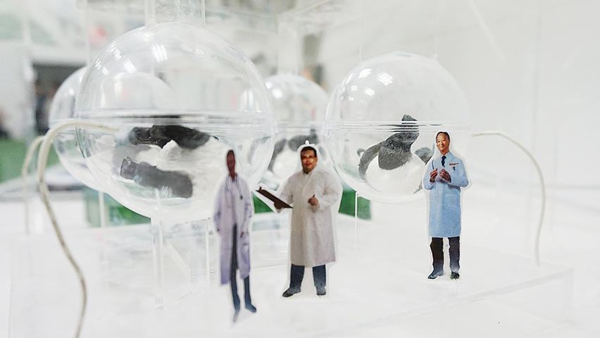 Chinese Space Panda Mission Museum - Zhihan