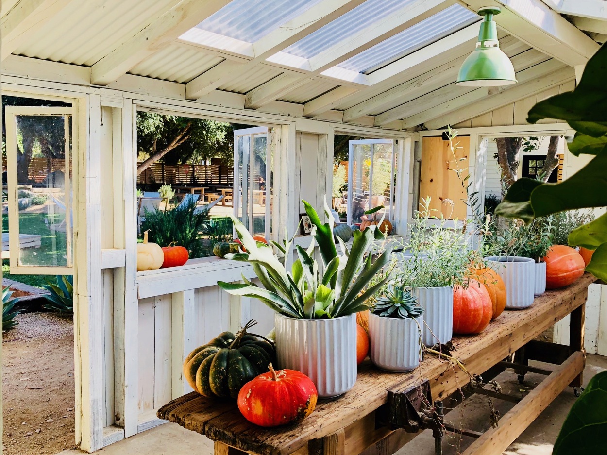 Bodega Los Alamos - ga+d