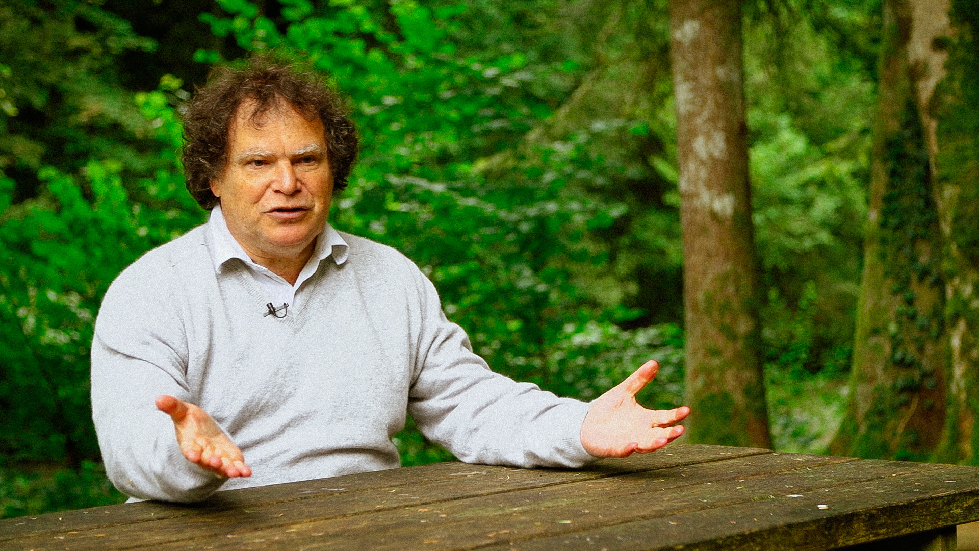 Marc Sokol - Les Voies de Soi