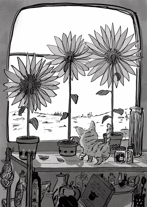 Remarkable Journey of Coyote Sunrise - Shihyu Illustration