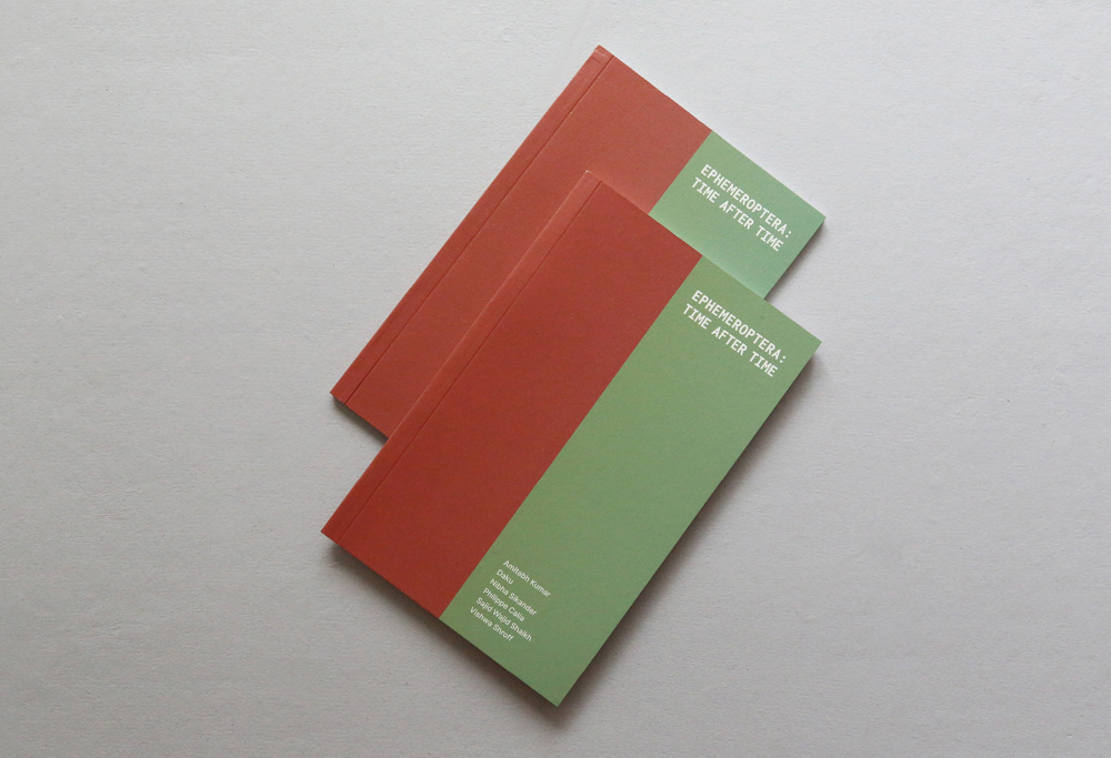 TARQ: Ephemeroptera: Time After Time 2023-24 - anugraha