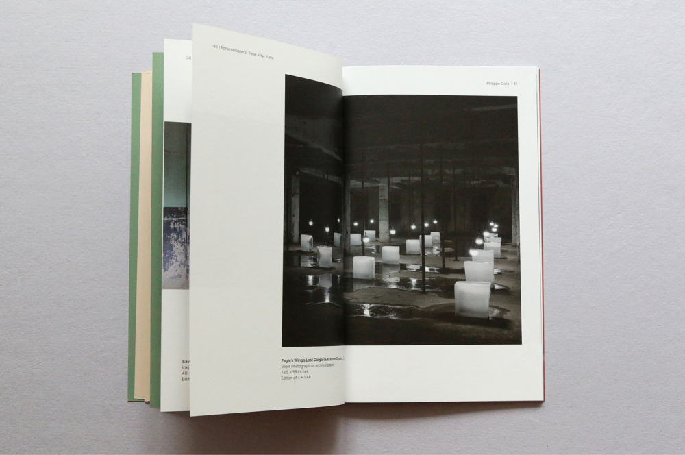 TARQ: Ephemeroptera: Time After Time 2023-24 - anugraha